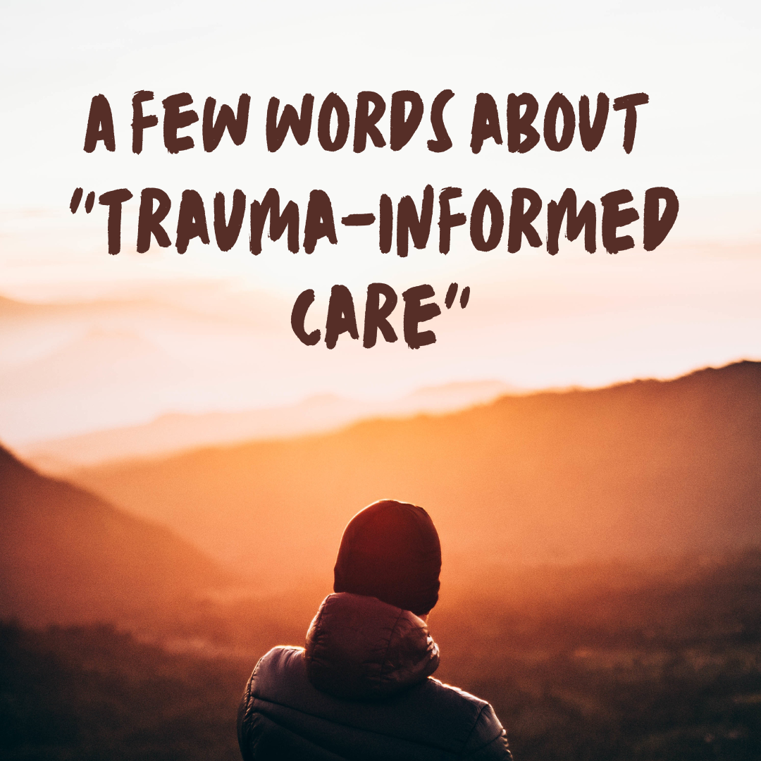 Trauma-informed care – Jessica Setnick